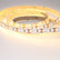 12V Dimmable LED Tape Light Wideth 10mm CE Certificate LED Strip Lights – VSTLED.COM