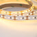 12V Dimmable LED Tape Light Wideth 10mm CE Certificate LED Strip Lights – VSTLED.COM